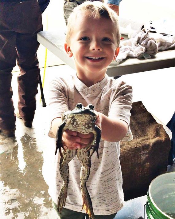 Calaveras County Fair & Jumping Frog Jubilee: Classic family fun